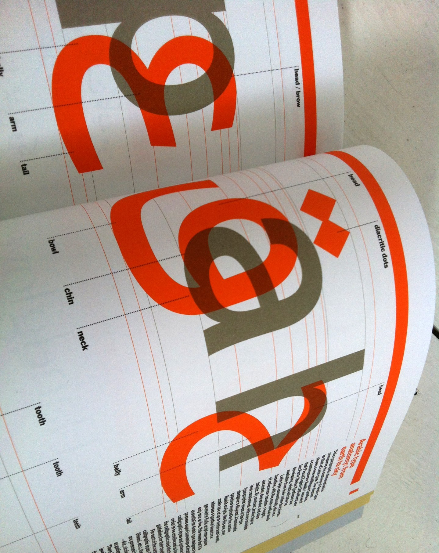 Arabic Type Anatomy & Typographic Terms – 29LT BLOG